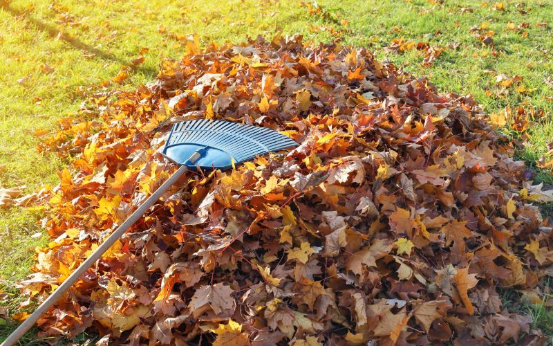 Get Leaf Removal - Schedule Service Today